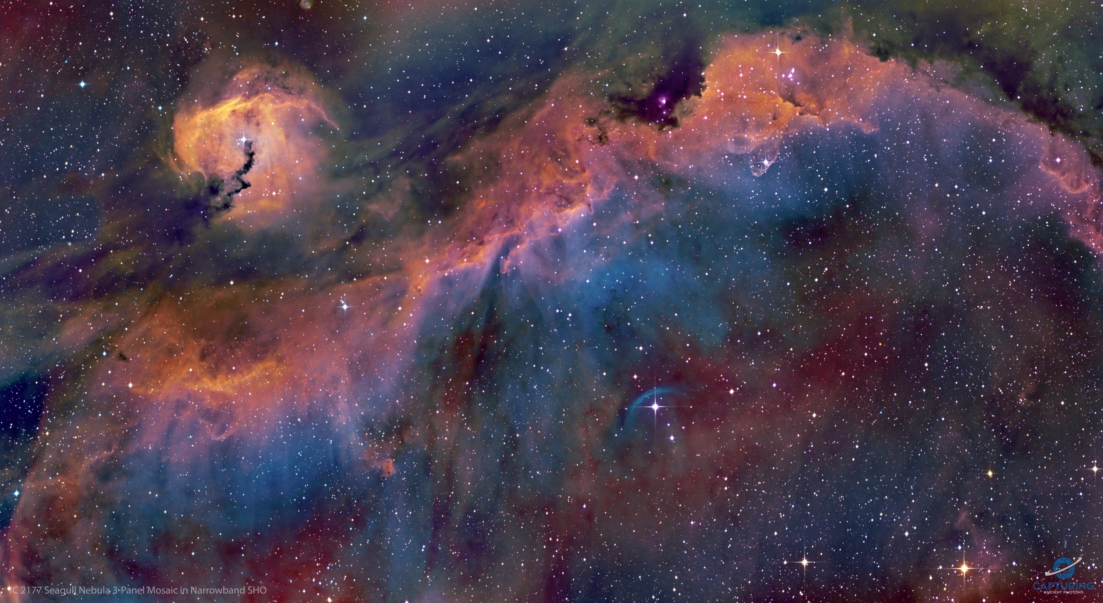 IC 2177 Seagull Nebula 3-Panel Mosaic in Narrowband Foraxx - Astrometrical
